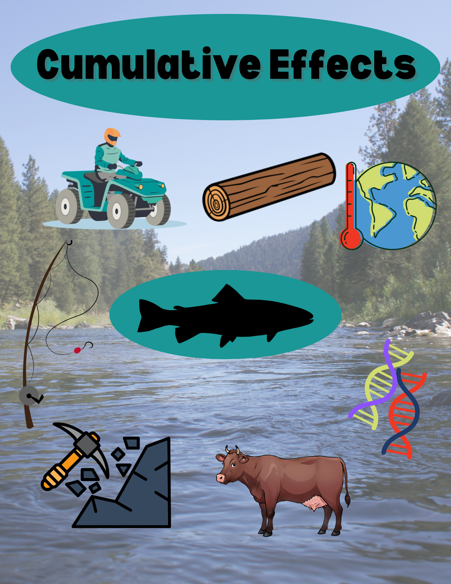 Alberta Native Trout